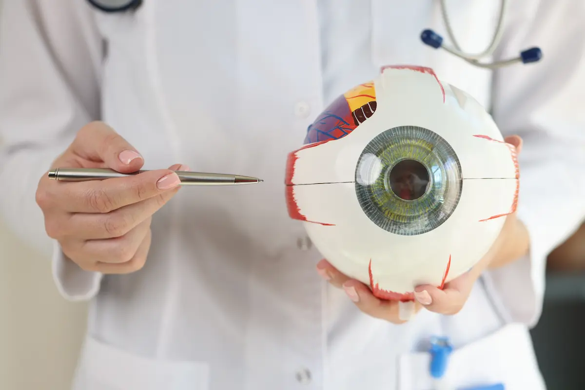 Vitreo Retina: Jenis, Gejala, dan Cara Mengatasinya - JEC Eye Hospitals ...